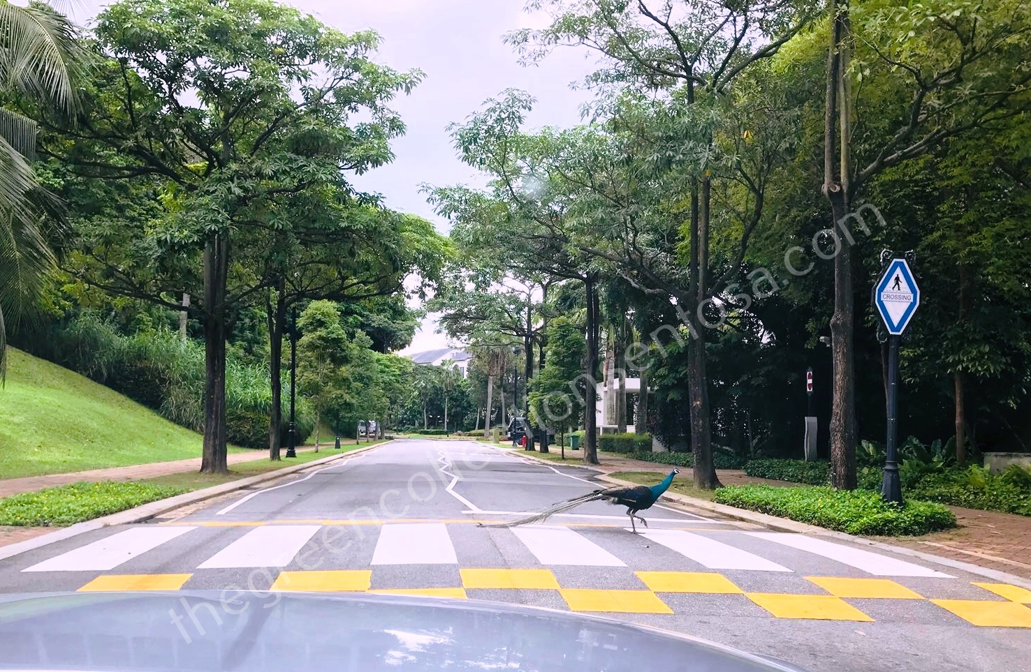 Location | The Green Collection, Sentosa Cove