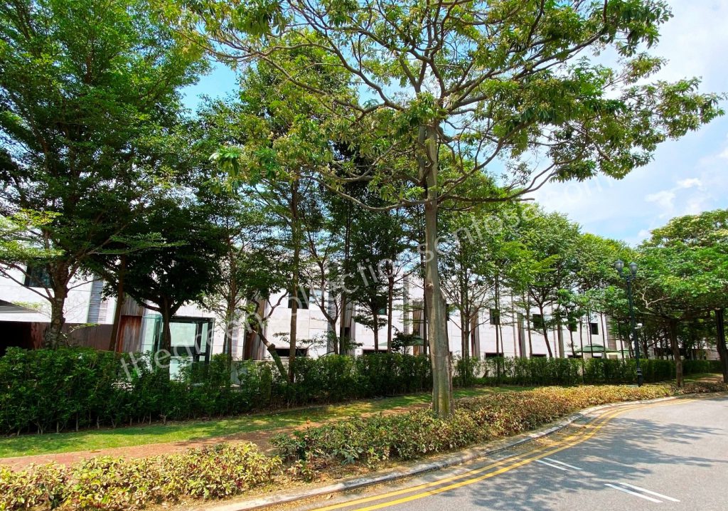 Location | The Green Collection, Sentosa Cove